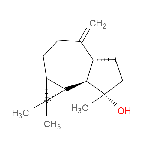 CancerHSP: anticancer herbs database of systems pharmacology