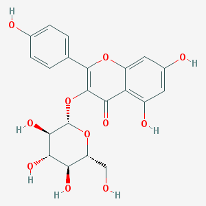 TCMSP - Traditional Chinese Medicine Systems Pharmacology Database and ...
