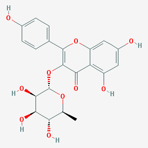 TCMSP - Traditional Chinese Medicine Systems Pharmacology Database and ...