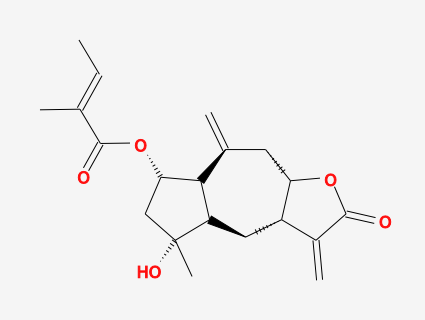 TCMSP - Traditional Chinese Medicine Systems Pharmacology Database and ...